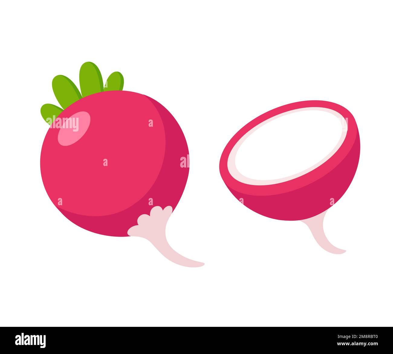 Cartoon radish icon, whole and cut. Flat vector style clip art ...