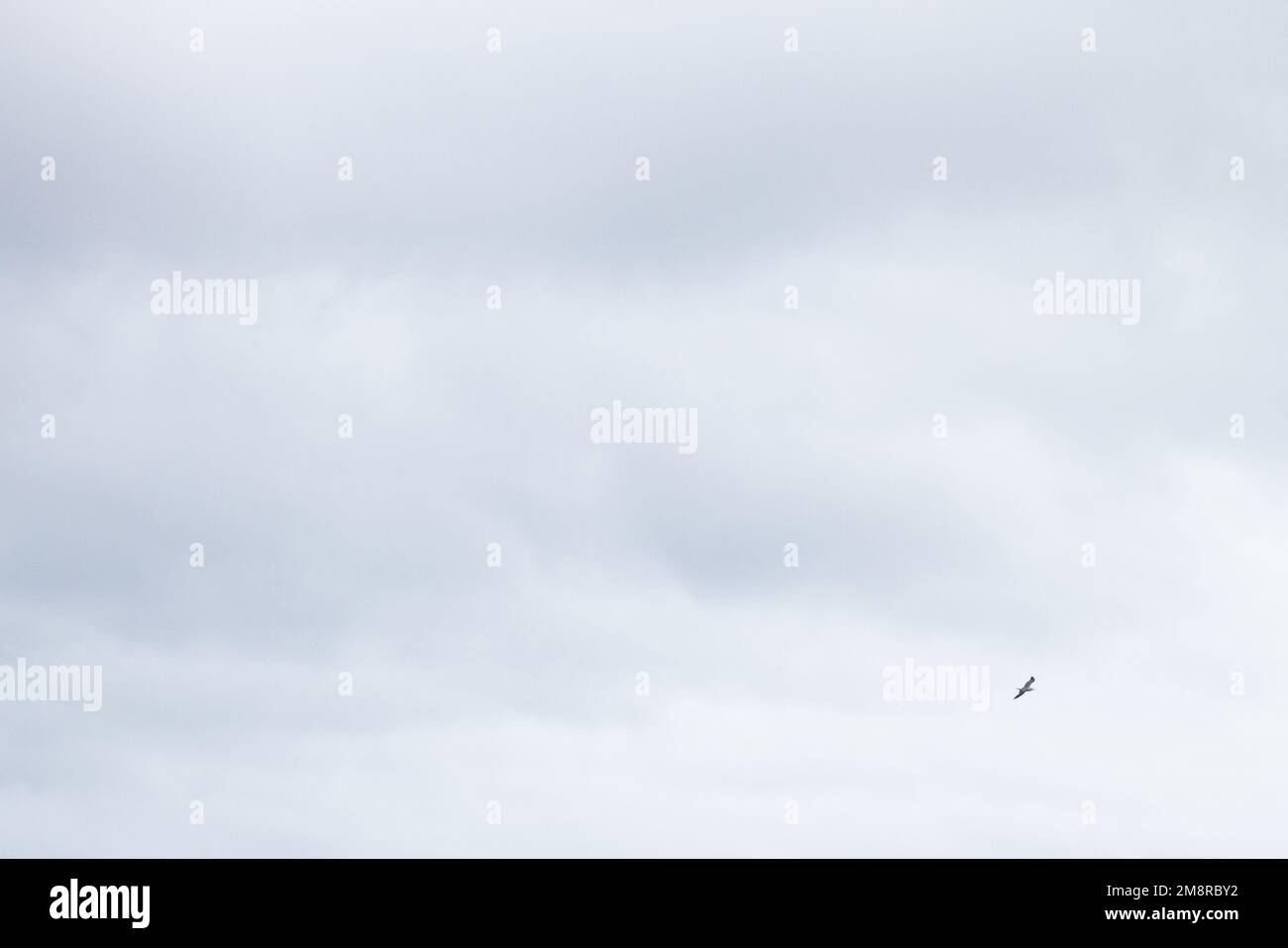 gray sky with clouds gloomy bad weather Stock Photo - Alamy