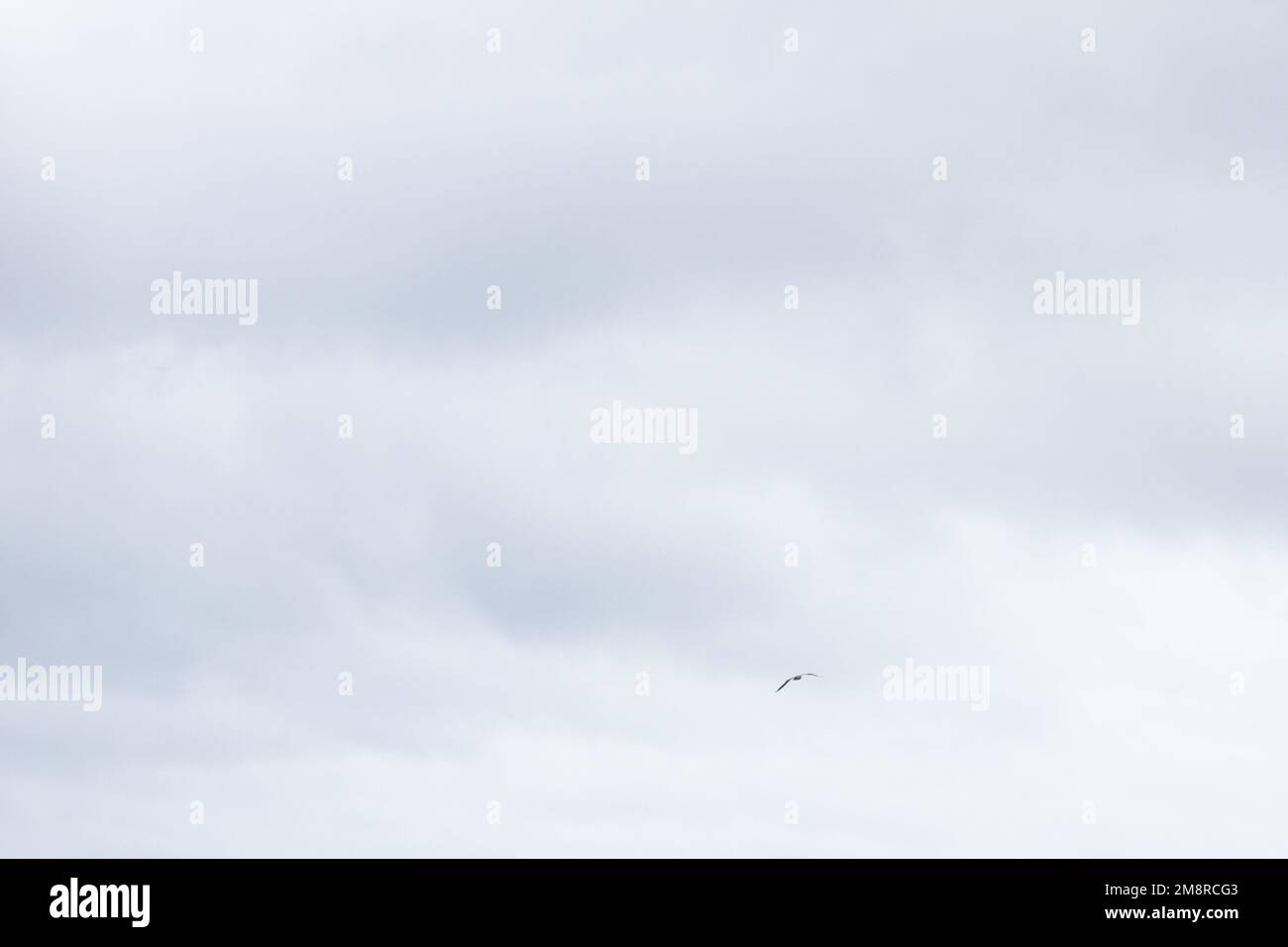 Gray sky with clouds hi-res stock photography and images - Alamy