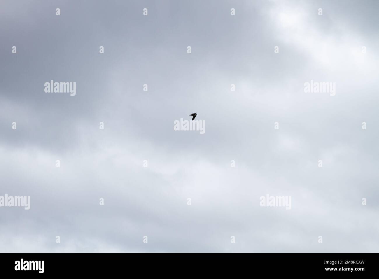 gray sky with clouds gloomy bad weather Stock Photo - Alamy