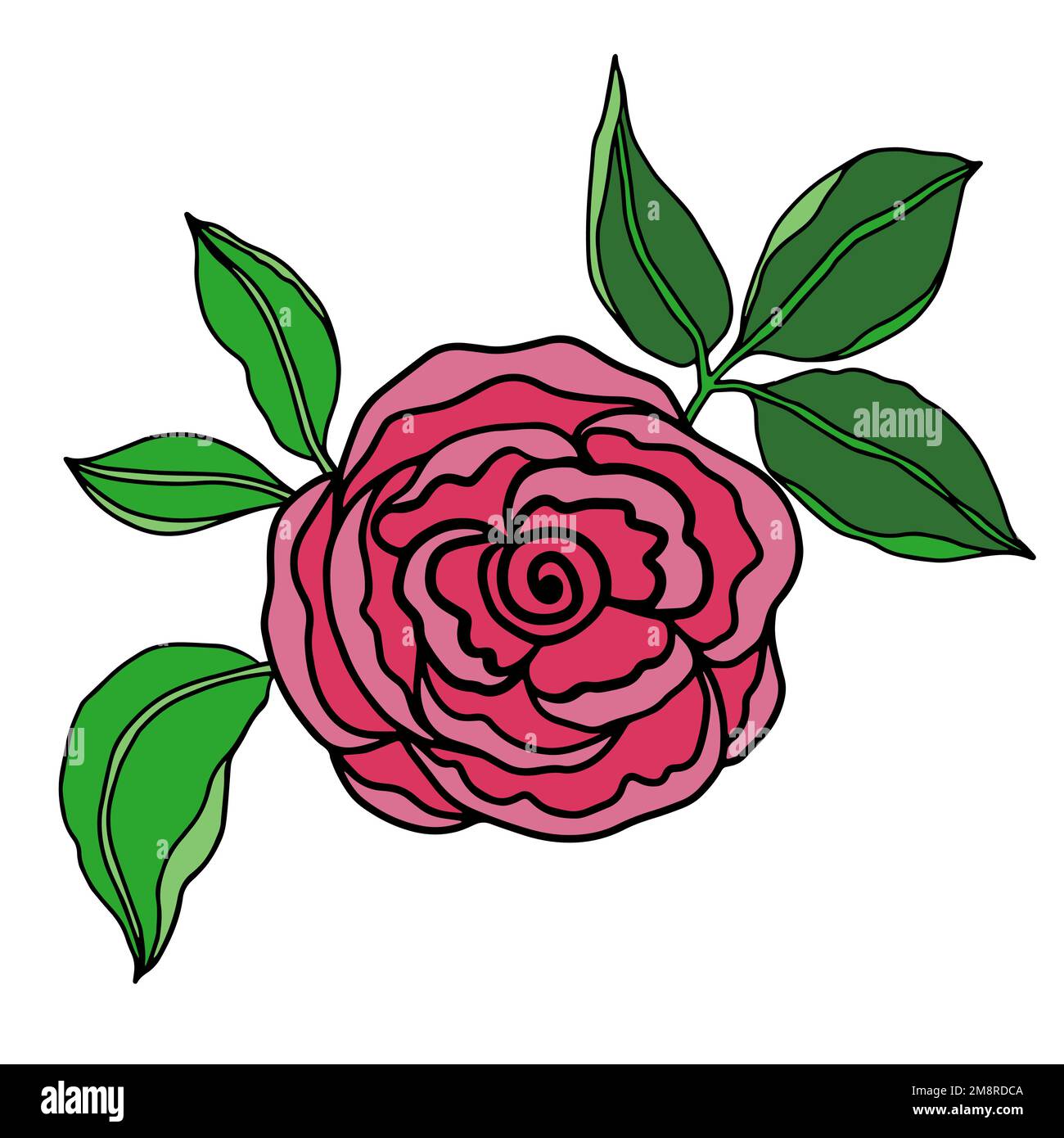 Cute rose flower Stock Vector Image & Art - Alamy