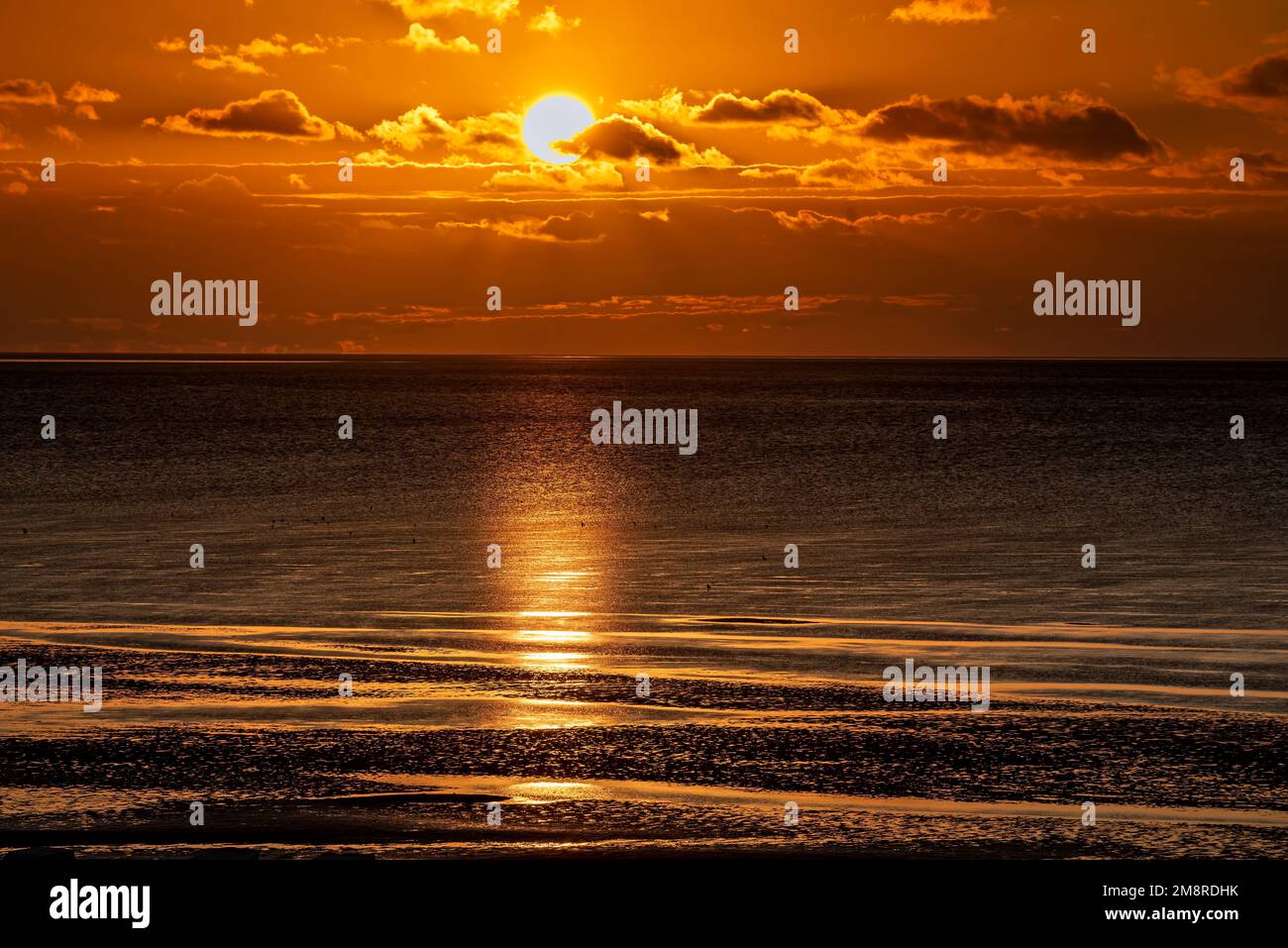 A scenic shot a quiet sea reflecting the golden light of the sun in the ...