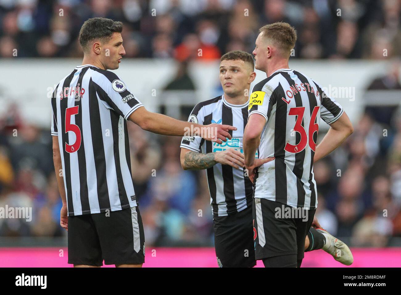 Schar trippier hi-res stock photography and images - Alamy