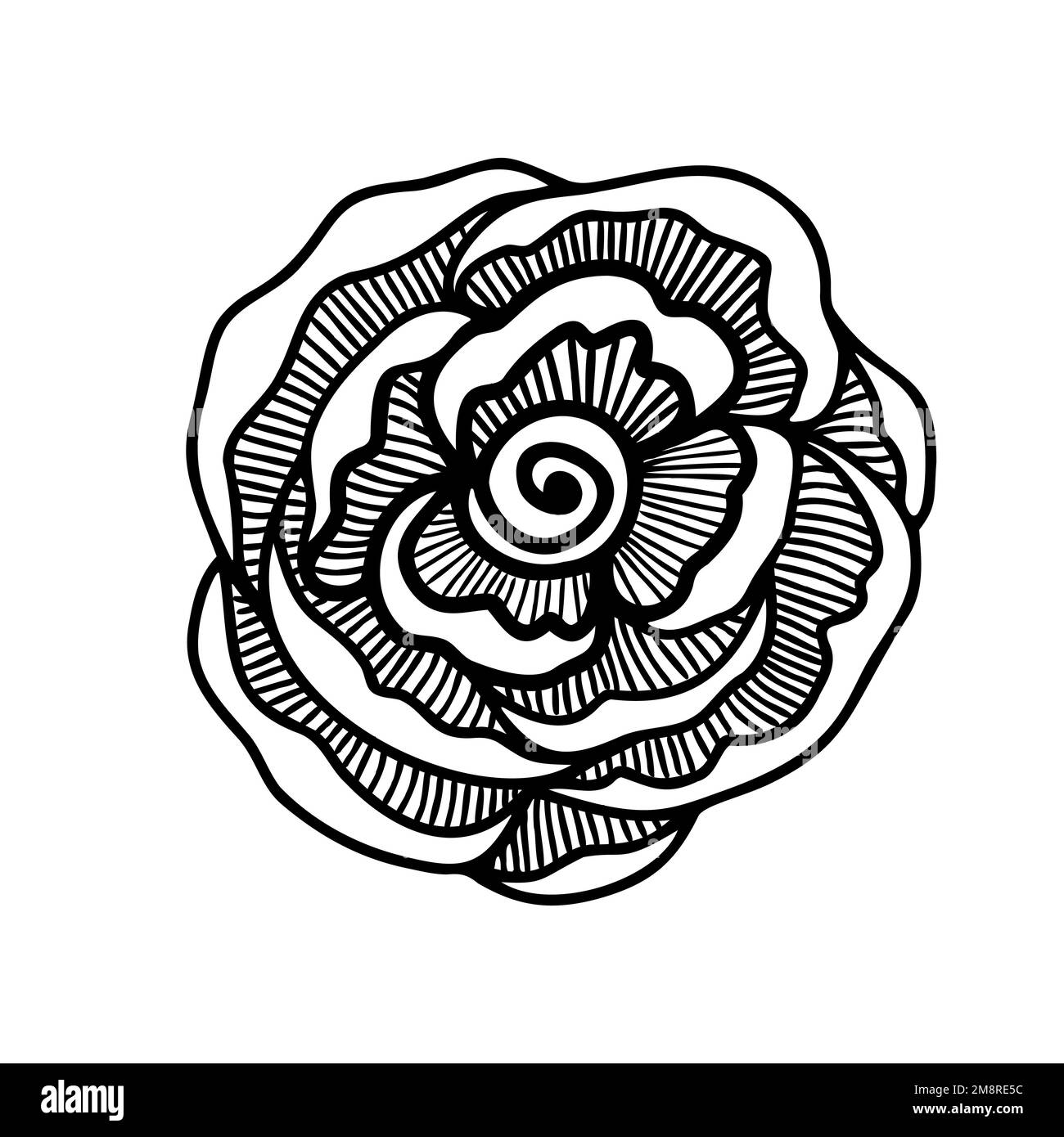 Cute rose flower Stock Vector Image & Art - Alamy