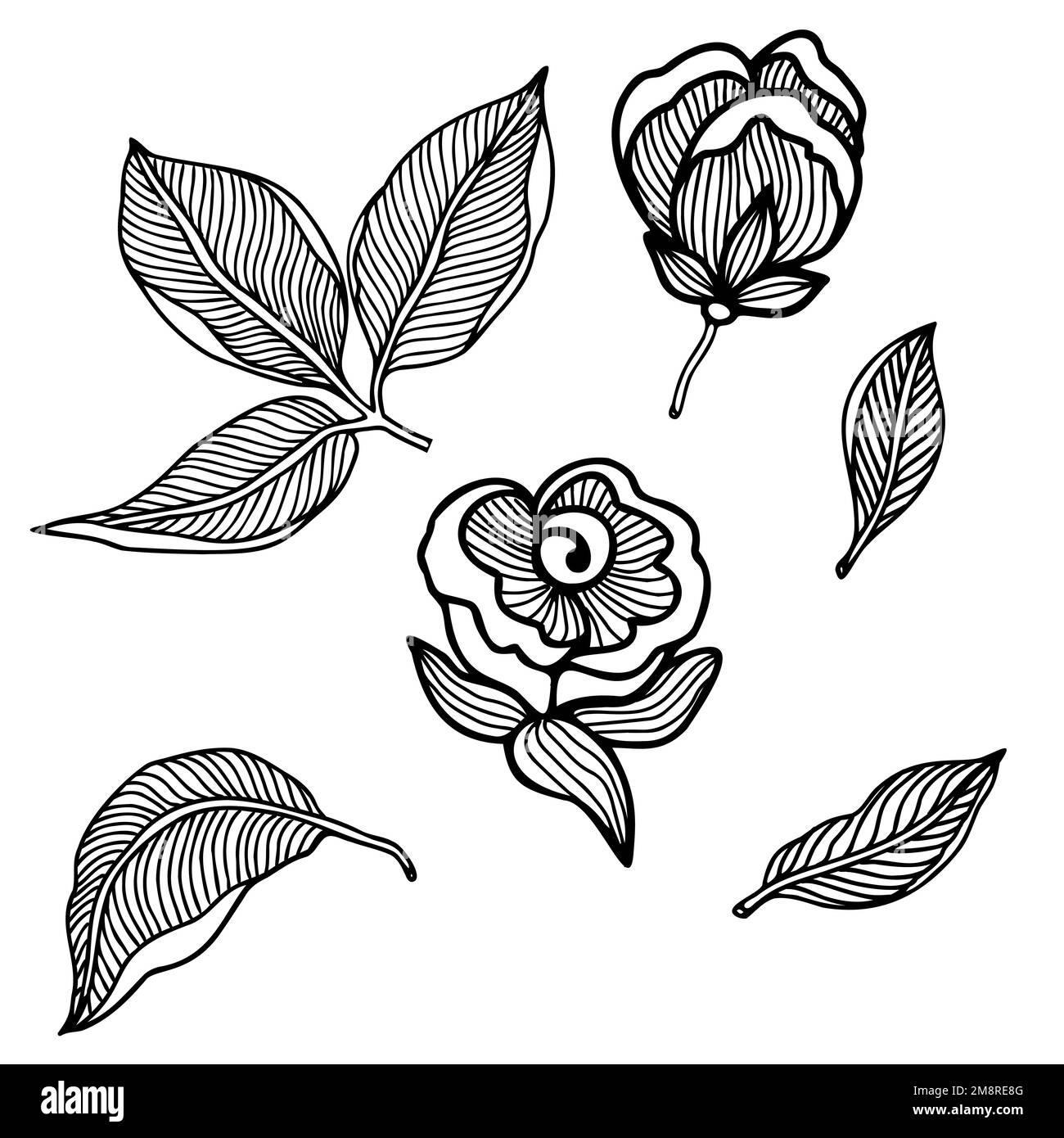 Cute rose flower Stock Vector Image & Art - Alamy