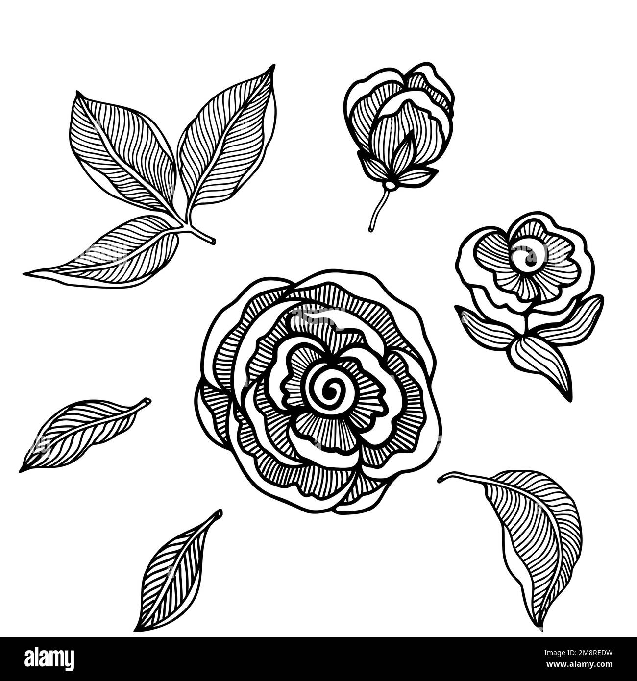Cute rose flower Stock Vector Image & Art - Alamy