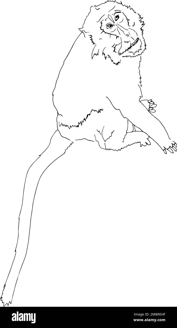 Line style monkey ape Cut Out Stock Images & Pictures - Alamy