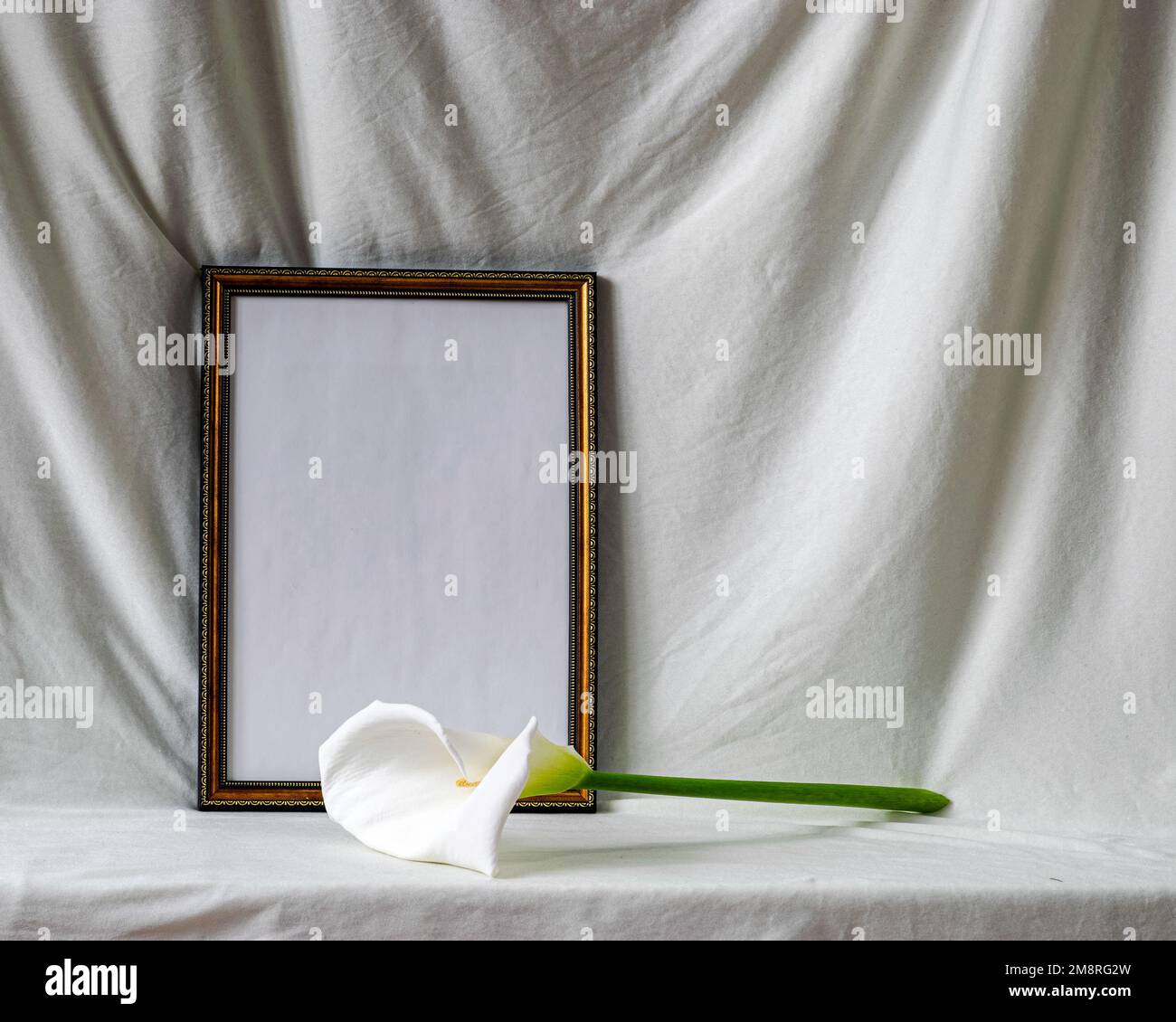 Still life with drapery hi-res stock photography and images - Alamy