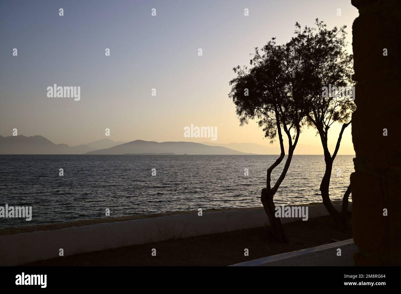 Sunset landscape with tree silhouettes in Plakakia beach, Aegina island ...