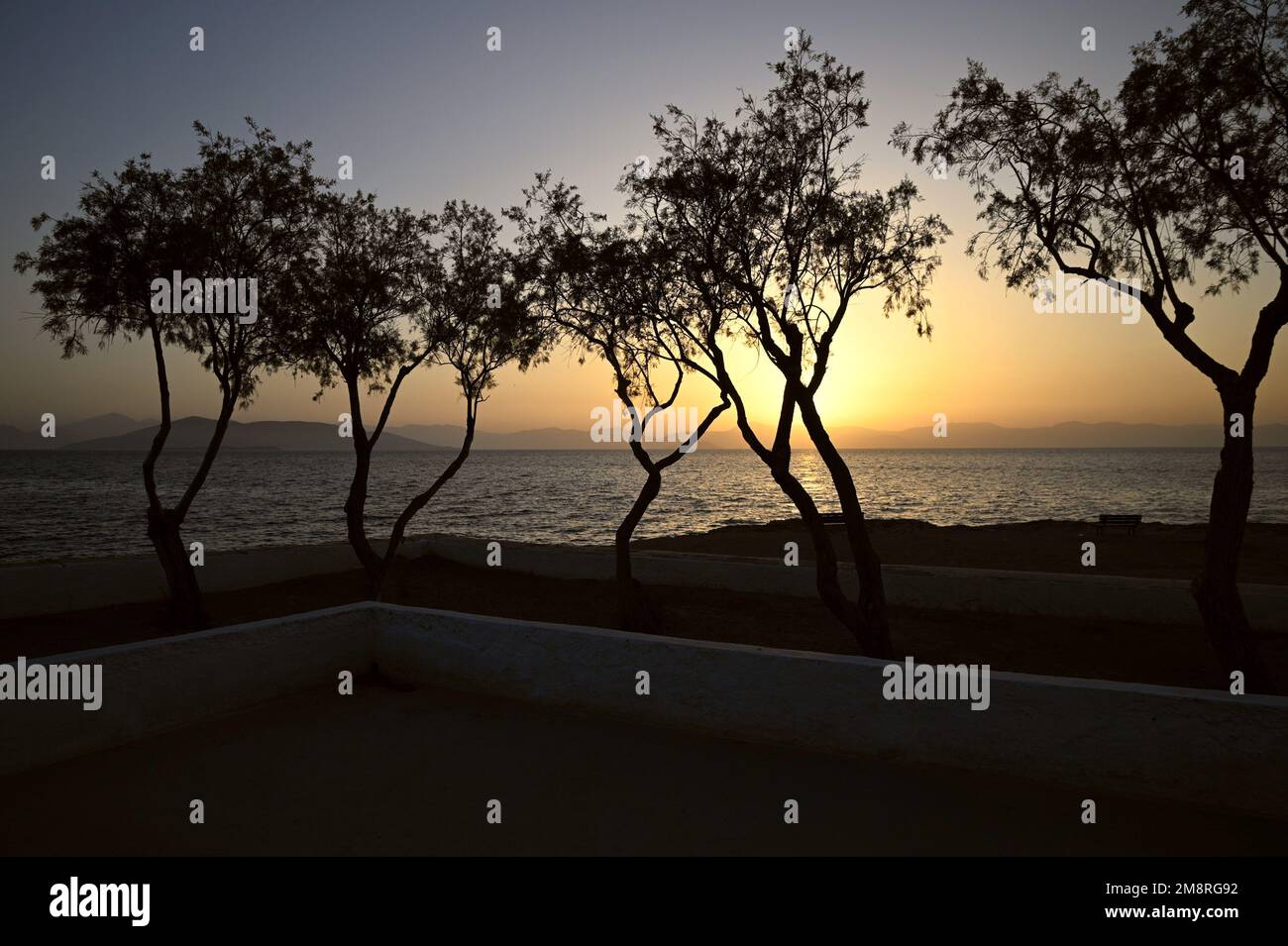 Plakakia aegina hi-res stock photography and images - Alamy