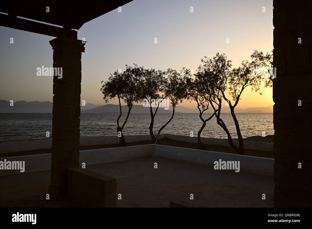 Sunset landscape with tree silhouettes in Plakakia beach, Aegina island ...