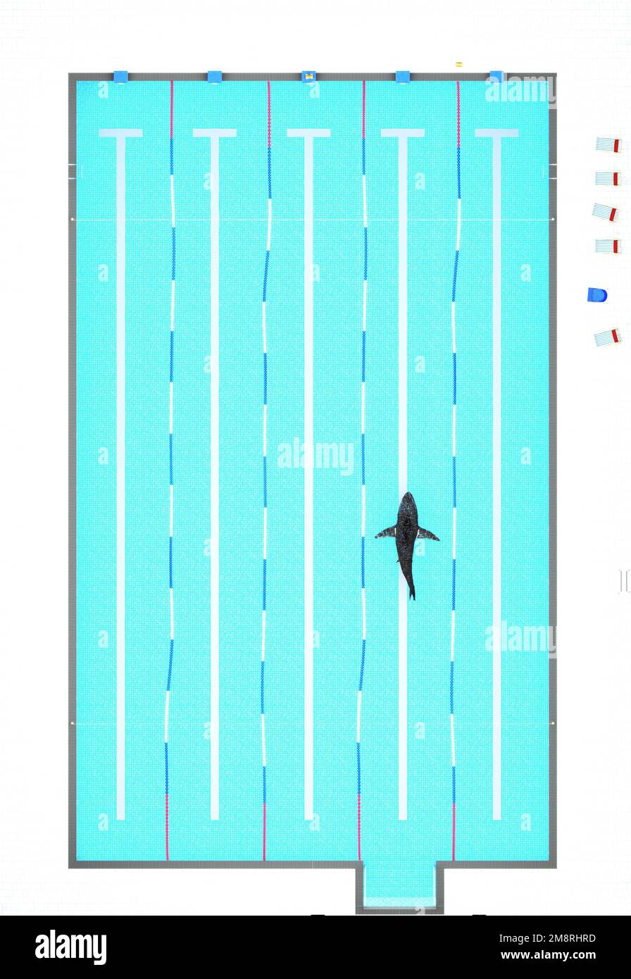 Shark in the Swimming pool underwater . 3d illustration Stock Photo - Alamy