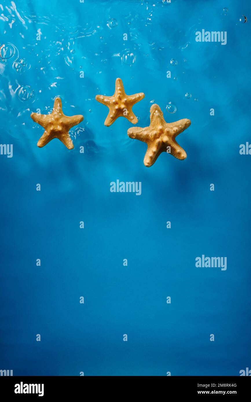 Three starfish in bright blue ocean water with waves and bubbles Stock ...