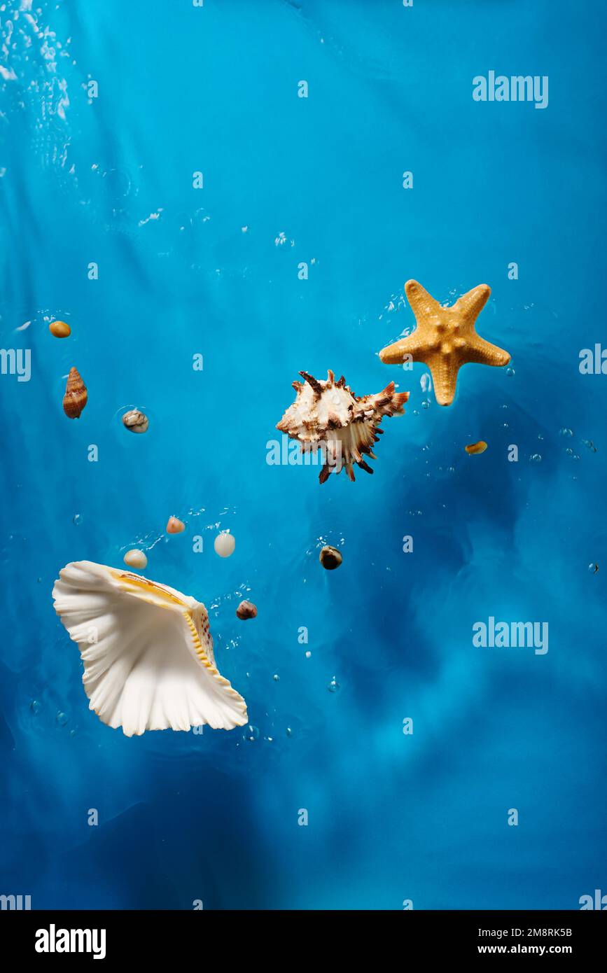 Different seashells, starfish and stones in bright blue ocean water ...