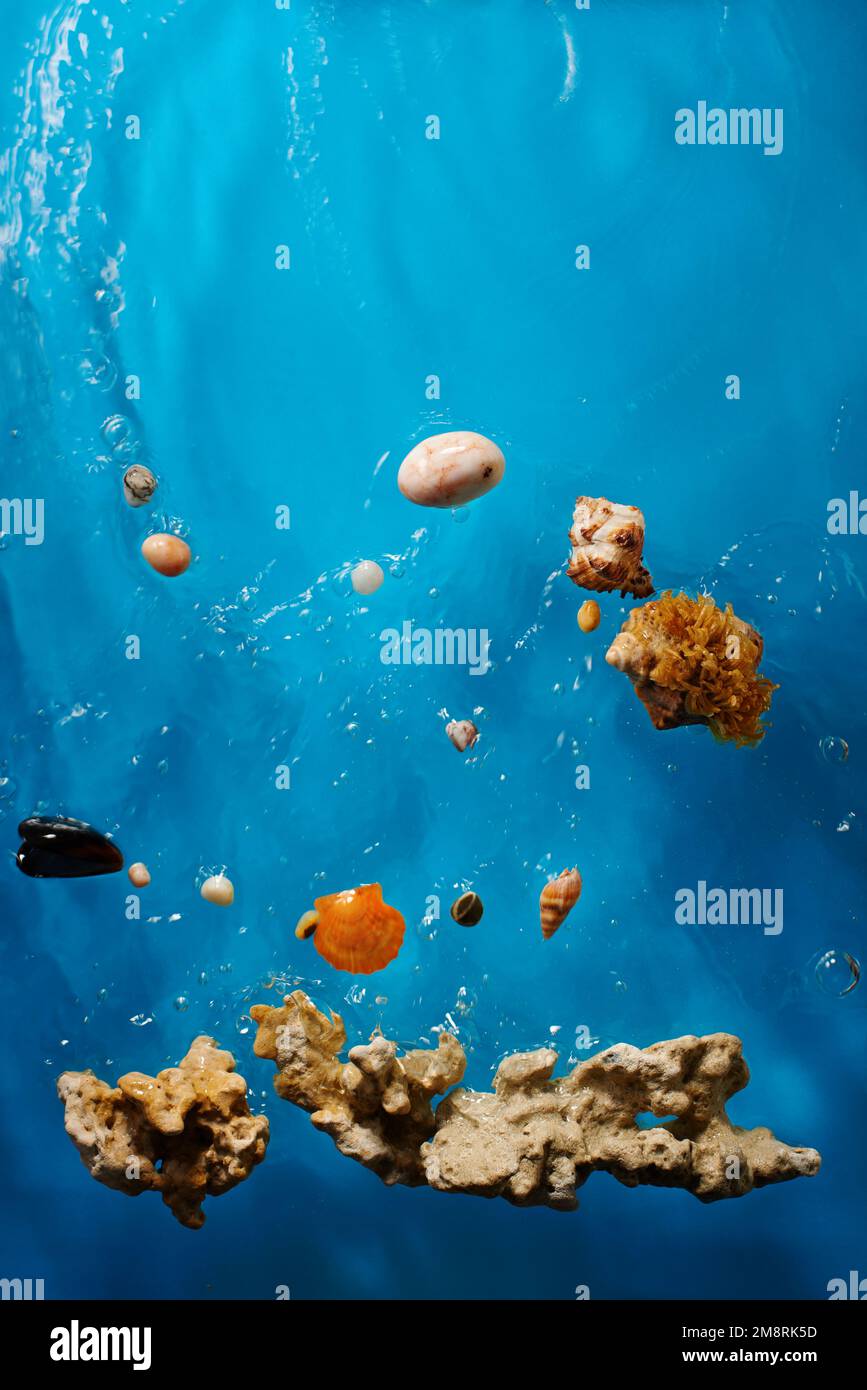 Different seashells, reef and stones in bright blue ocean water with ...