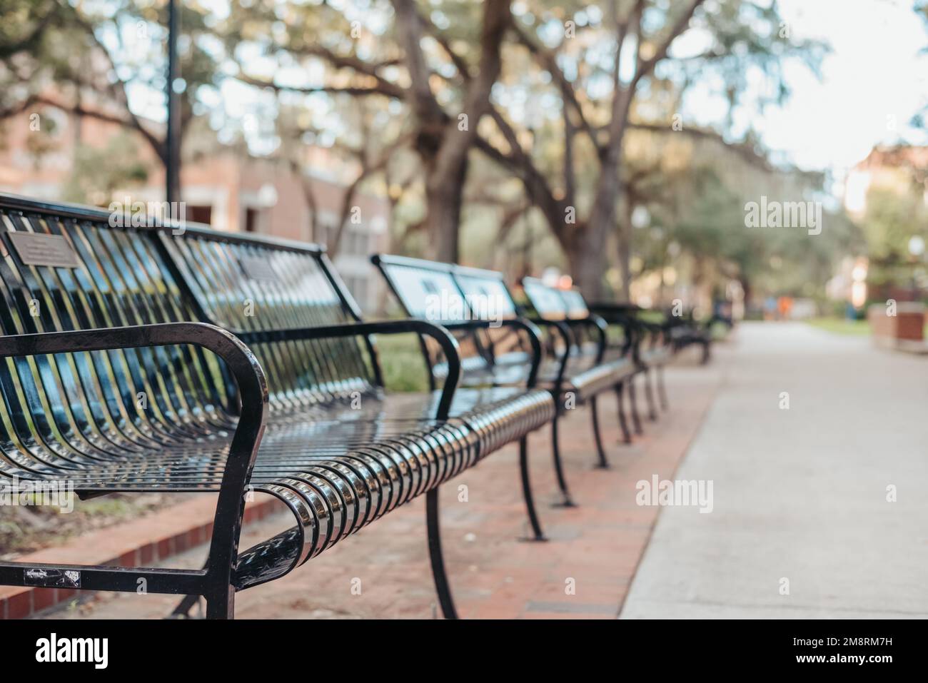 Park benches with blurred out buildings in the background. University ...