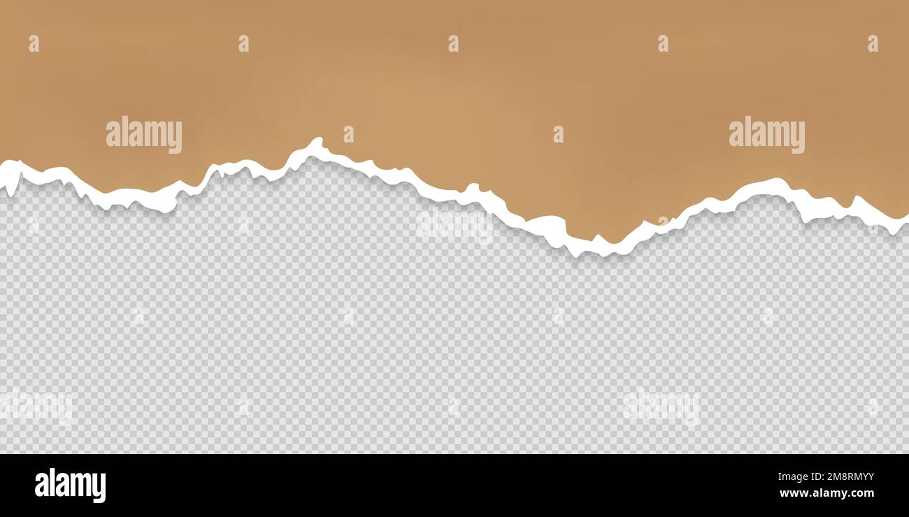 A torn horizontal part craft paper Stock Vector Image & Art - Alamy