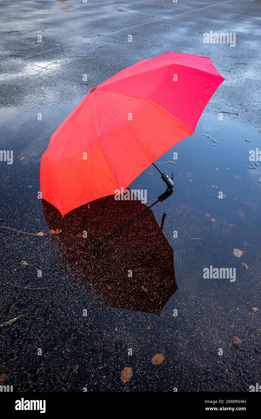 Red umbrella in a puddle if rain water Stock Photo - Alamy