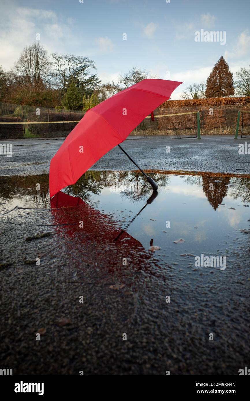 Red umbrella in a puddle if rain water Stock Photo - Alamy
