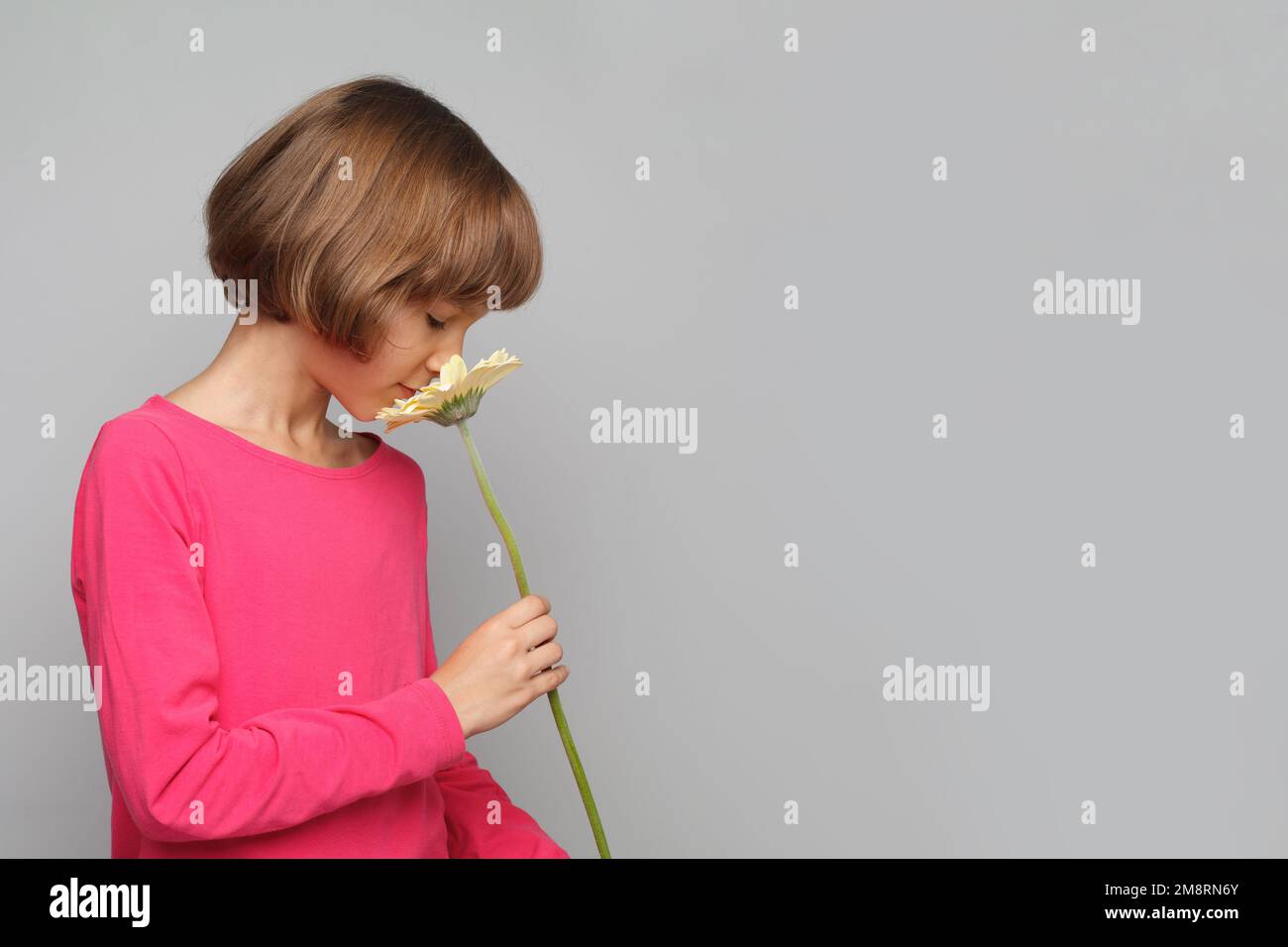 Sweet child girl smelling a flower against grey studio wall background ...