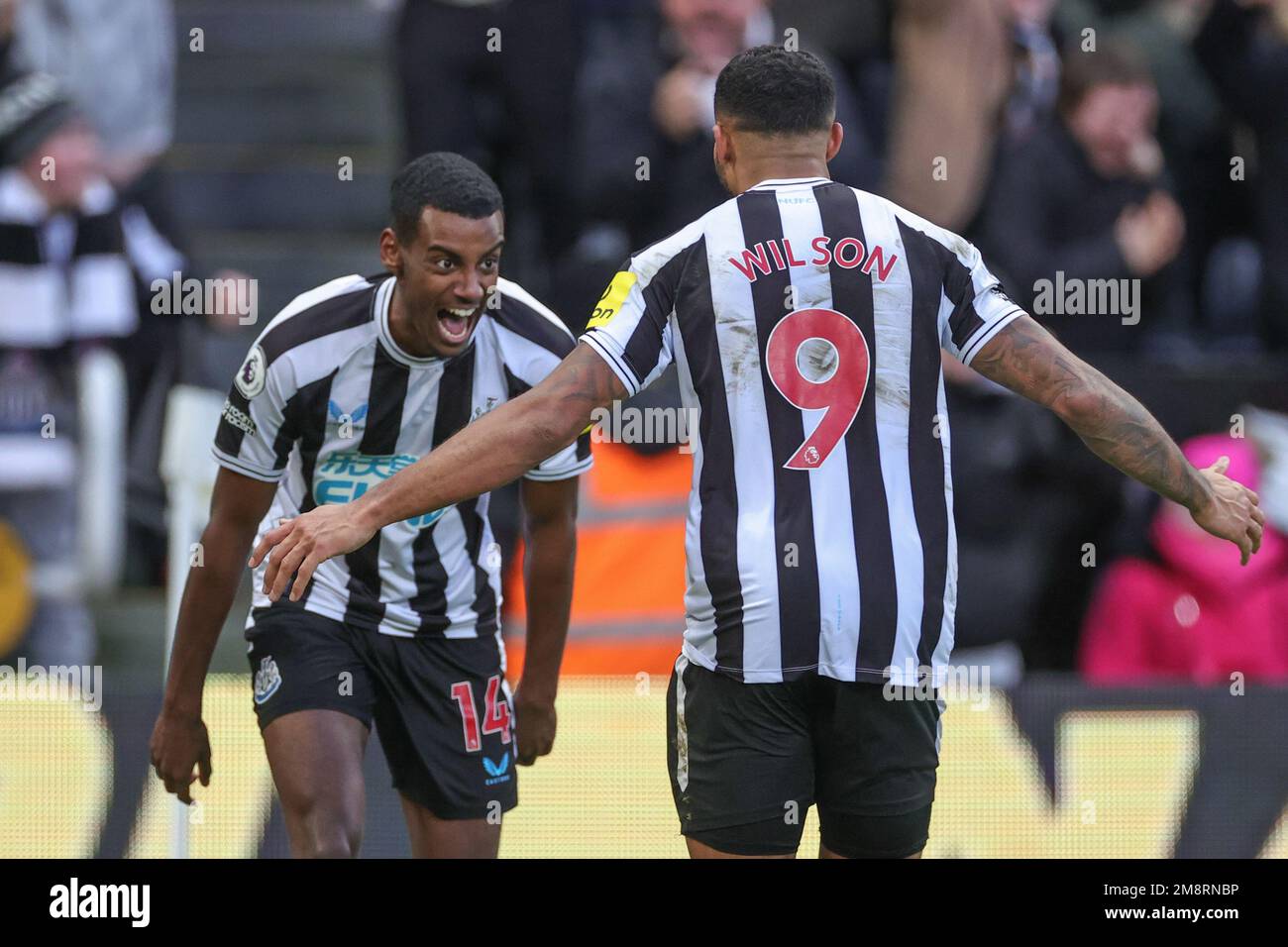 Alexander isak callum wilson hi-res stock photography and images - Alamy