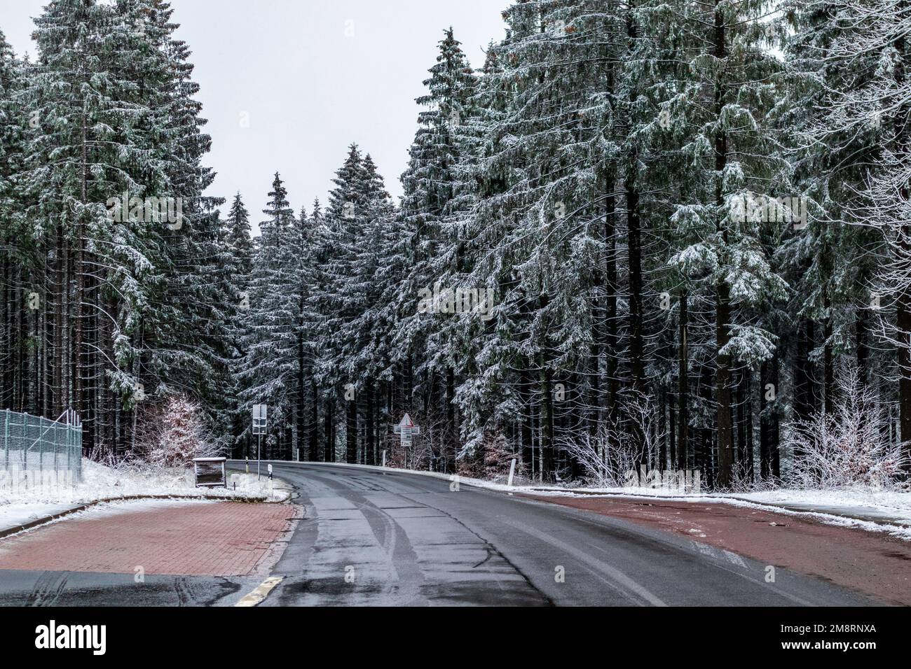 A touch of winter on the heights of the Thuringian Forest near Floh ...