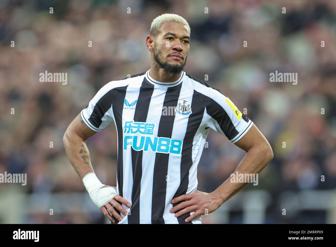 Joelinton #7 of Newcastle United during the Premier League match ...