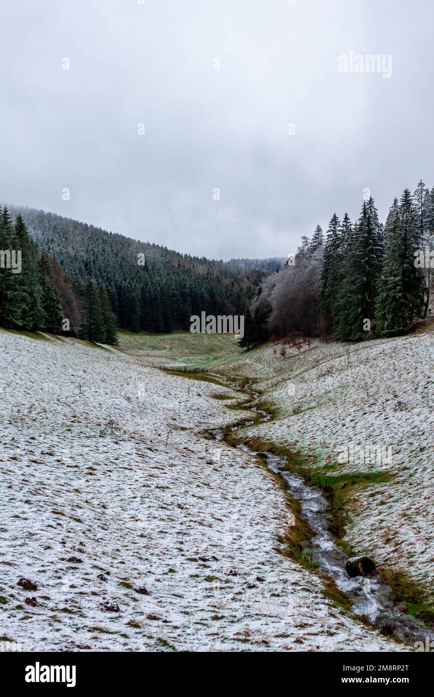 A touch of winter on the heights of the Thuringian Forest near Floh ...