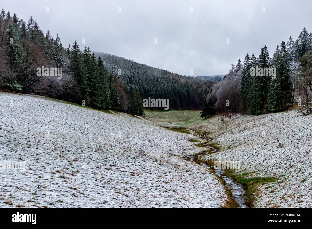 A touch of winter on the heights of the Thuringian Forest near Floh ...