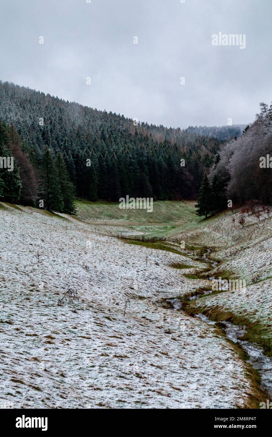 A touch of winter on the heights of the Thuringian Forest near Floh ...