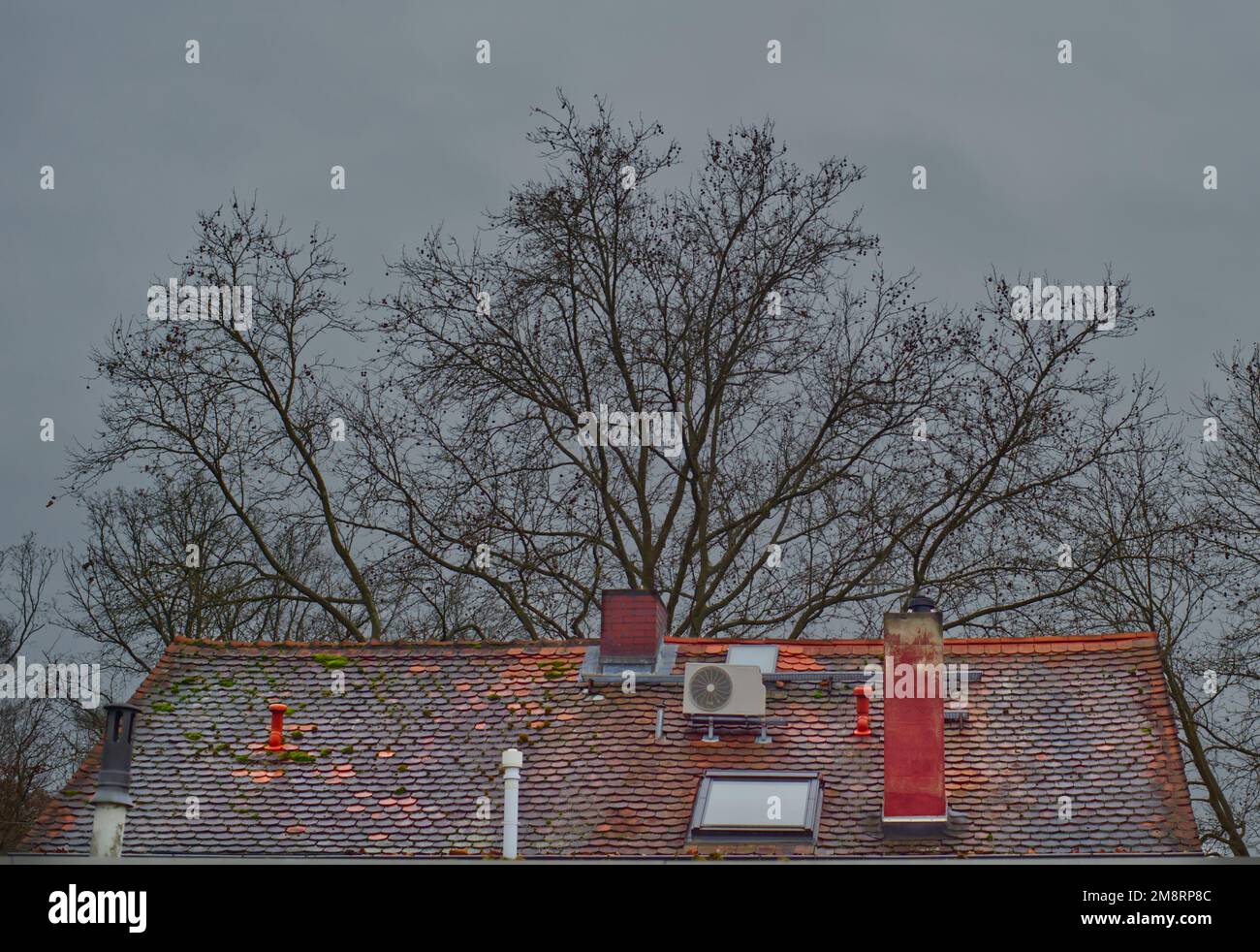 Tree chimneys hi-res stock photography and images - Alamy