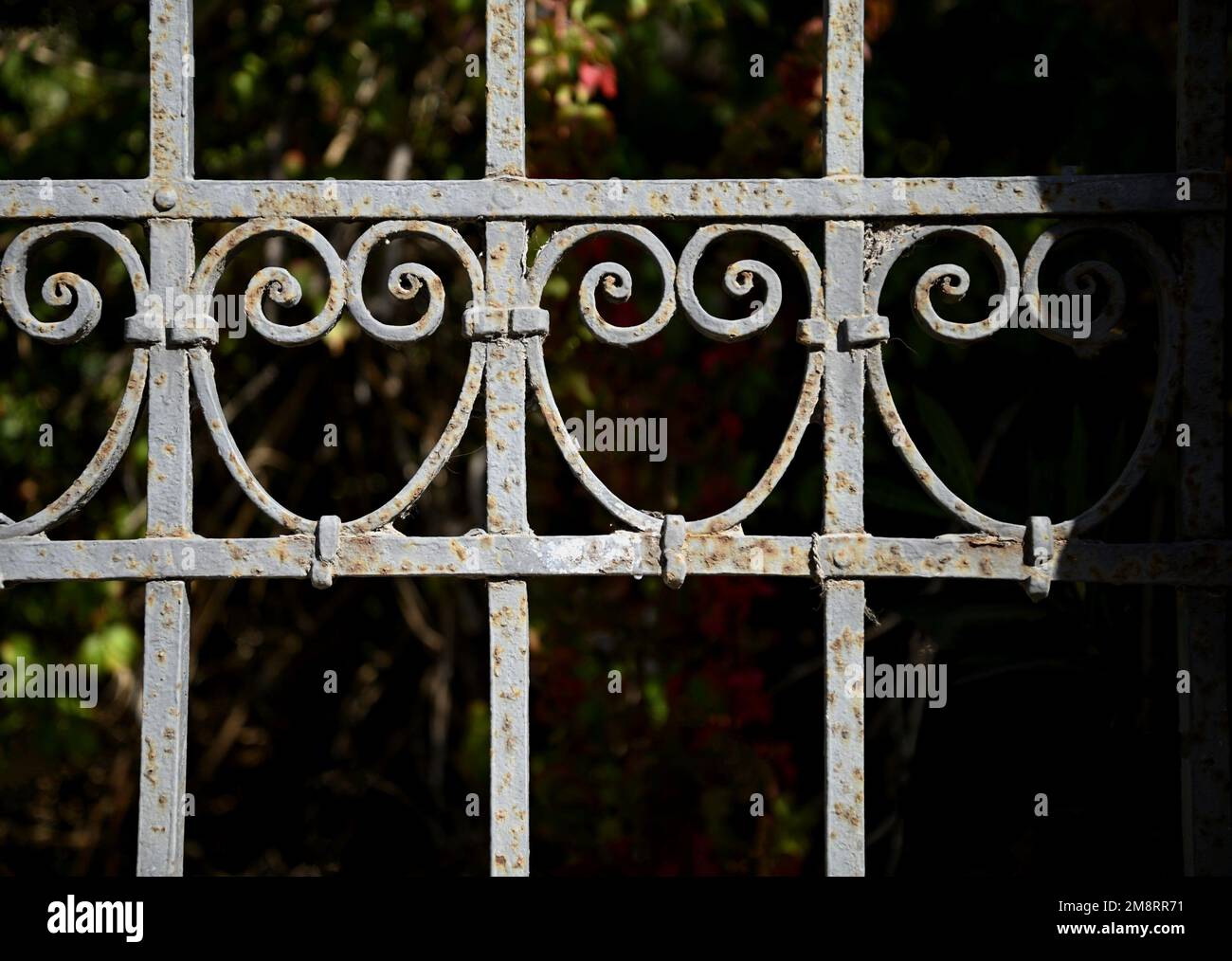 Custom made wrought iron entrance gate railing Stock Photo - Alamy