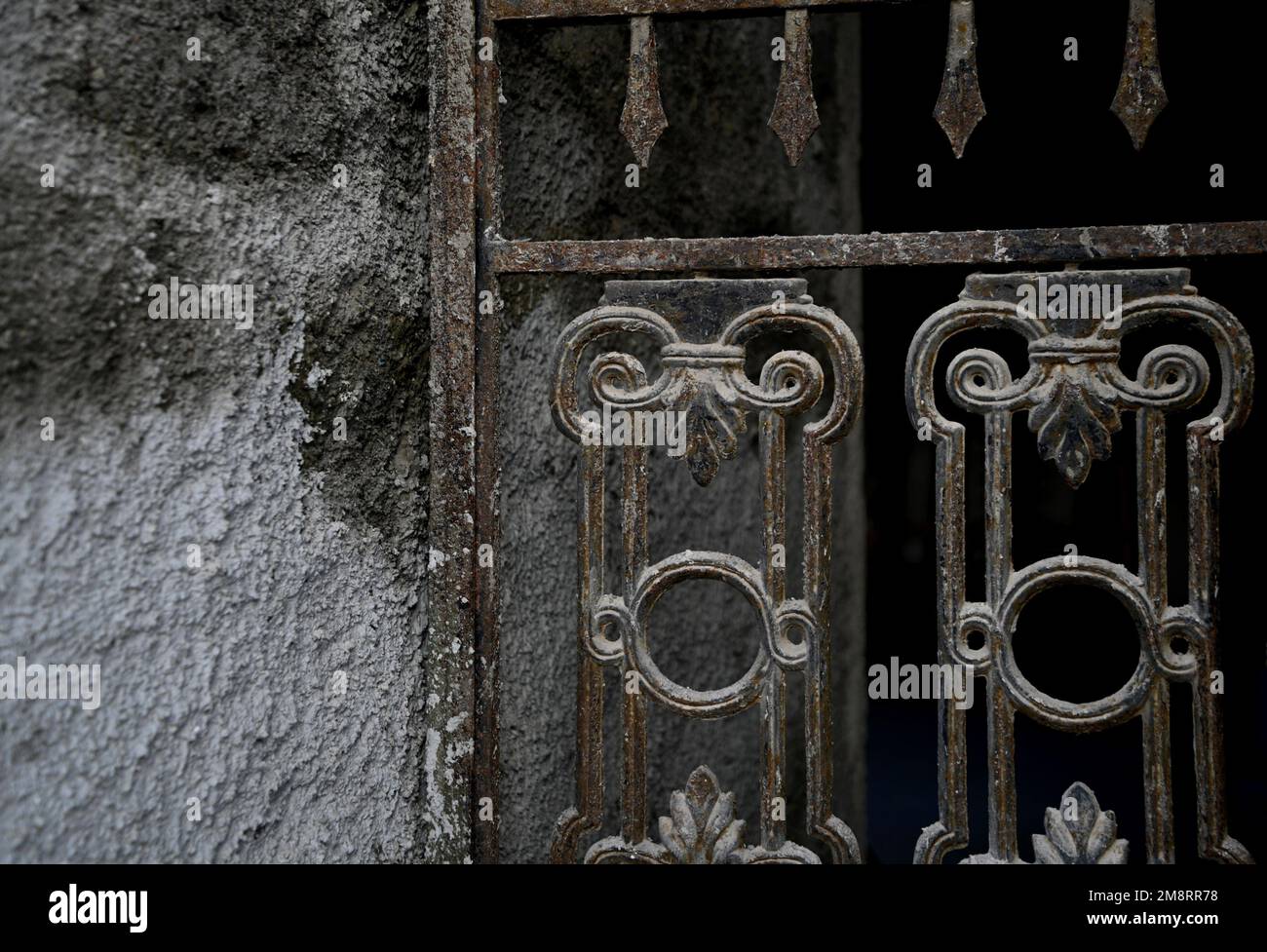 Custom made wrought iron entrance gate railing Stock Photo - Alamy