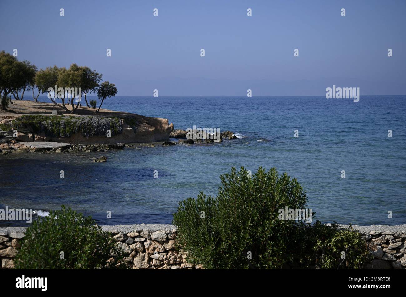 Plakakia aegina hi-res stock photography and images - Alamy