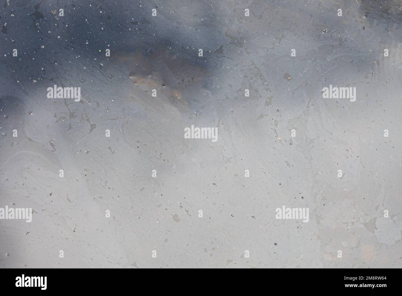 Slime on a lake surface creates a textured background that looks like ...
