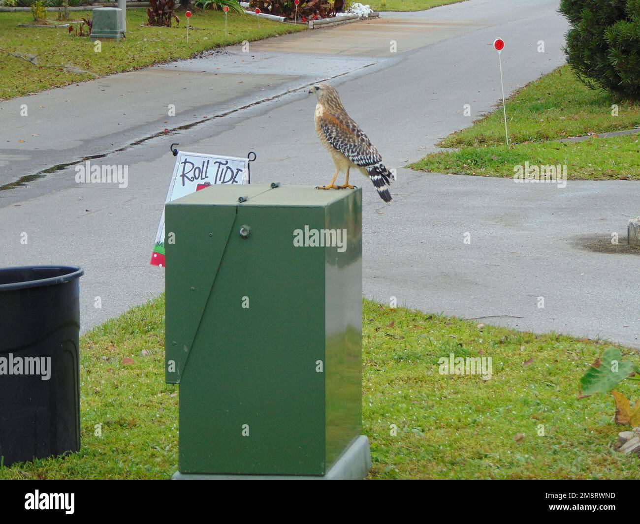 Home of the hawk hi-res stock photography and images - Alamy