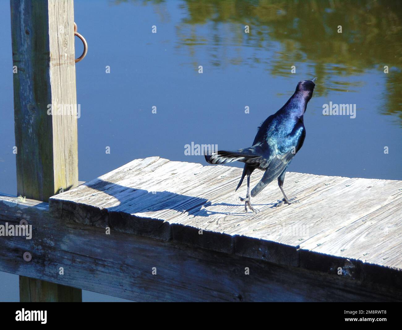 You are obnoxious hi-res stock photography and images - Alamy