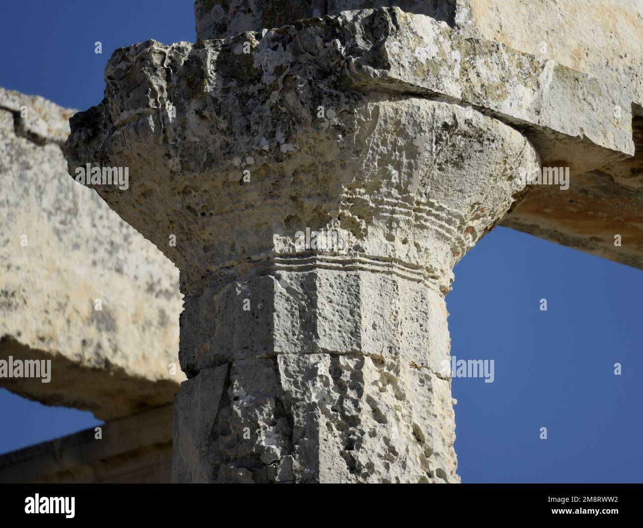 Doric order column of the Temple of Aphaia a symbolic Archaic landmark ...