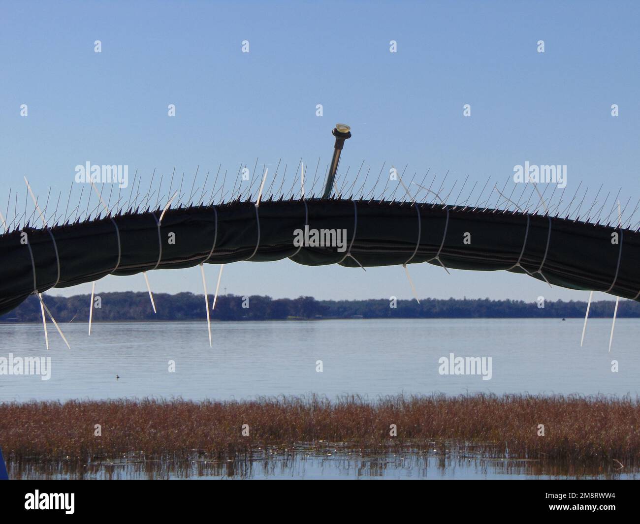 Using Spikes to Prevent Bird Poop on boat Stock Photo - Alamy