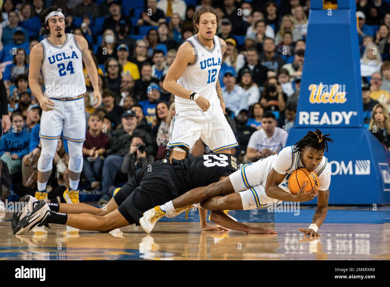 UCLA Bruins guard Dylan Andrews (2) wins a possession of a loose ball ...