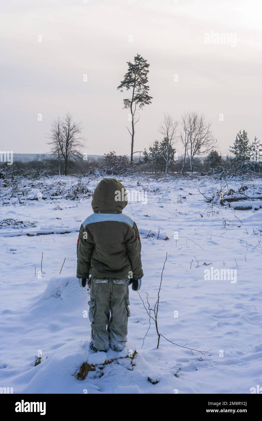 Little boy back view walking through the nature. Healthy active life ...