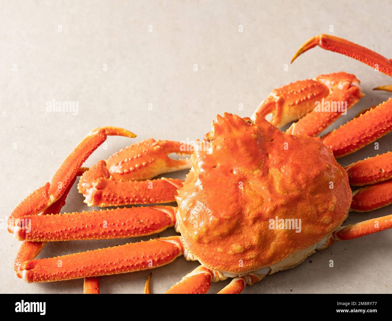 Close-up of fresh snow crab, Steamed snow crab Stock Photo - Alamy