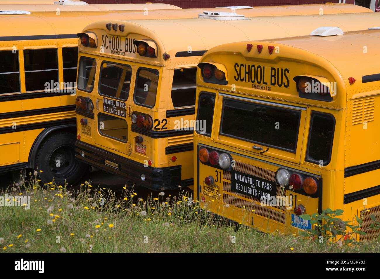 yellow school buses parked in astoria oregon usa Stock Photo - Alamy