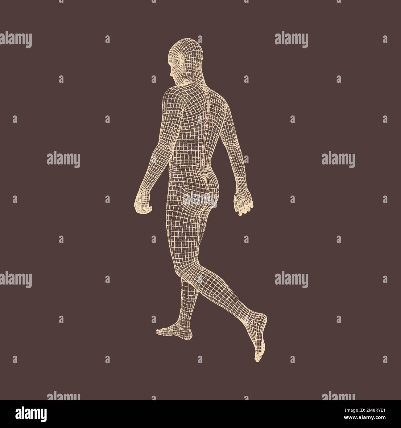 Walking Man. 3D Human Body Model. Geometric Design. Human Body Wire ...