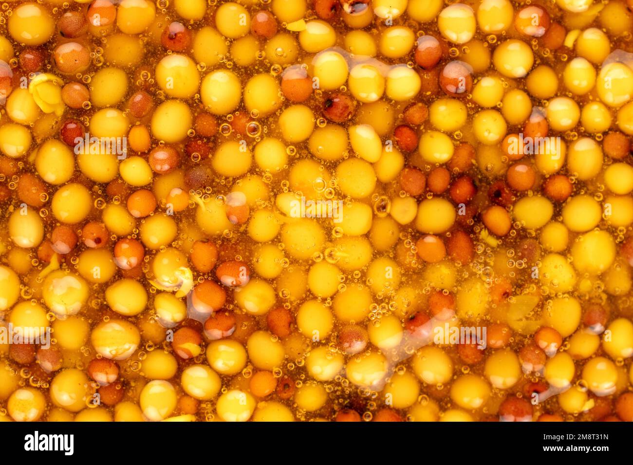 French mustard in a dish, macro, top view Stock Photo - Alamy