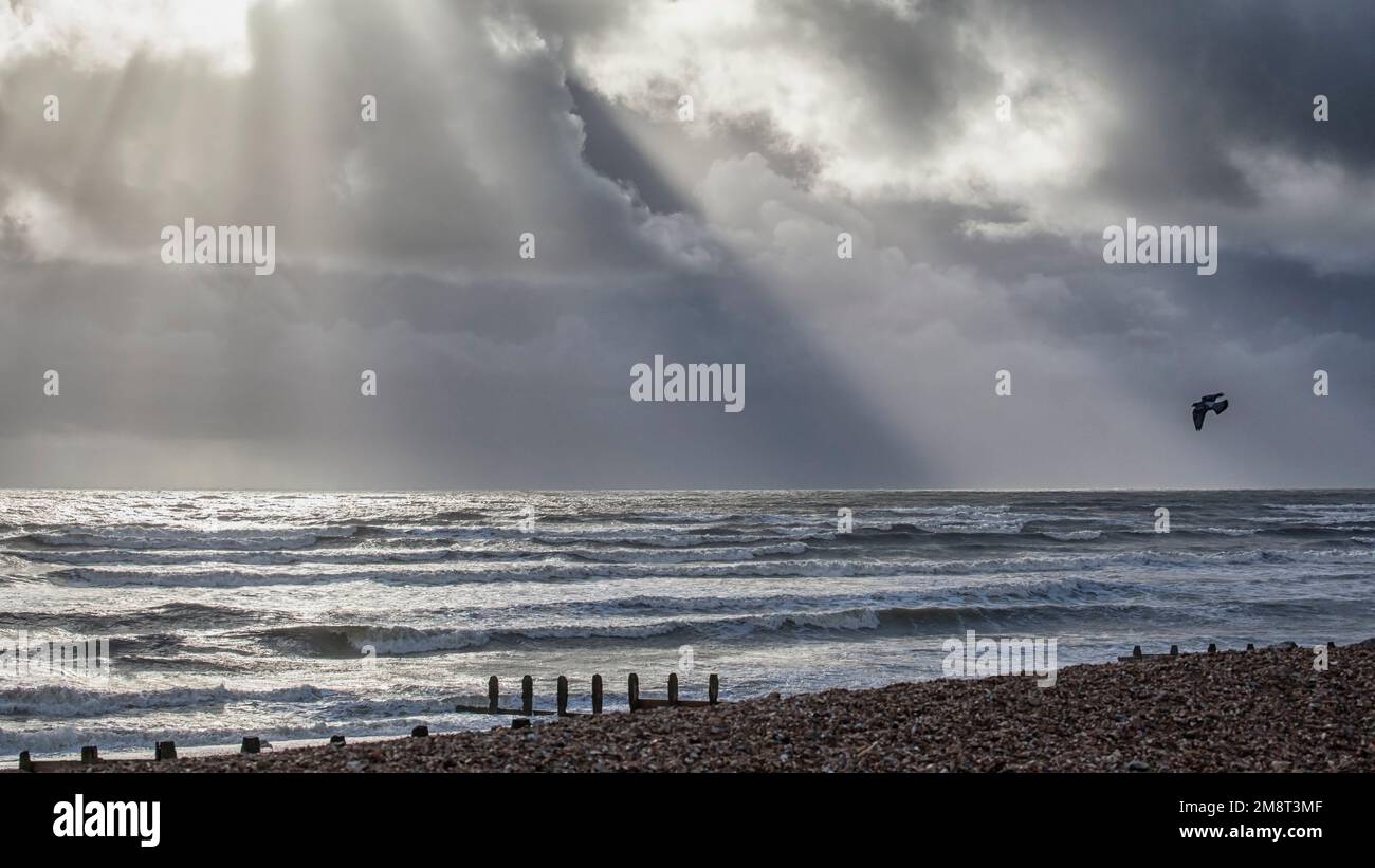 Worthing parks hi-res stock photography and images - Alamy