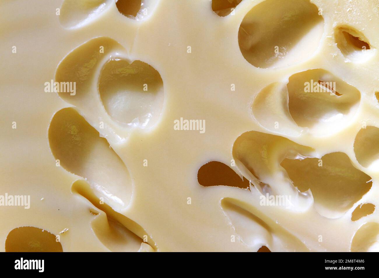Fromage de gruyère hi-res stock photography and images - Alamy
