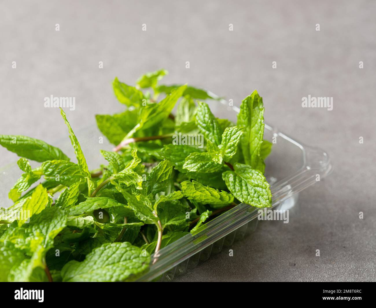 Fresh apple mint in plastic container Stock Photo - Alamy