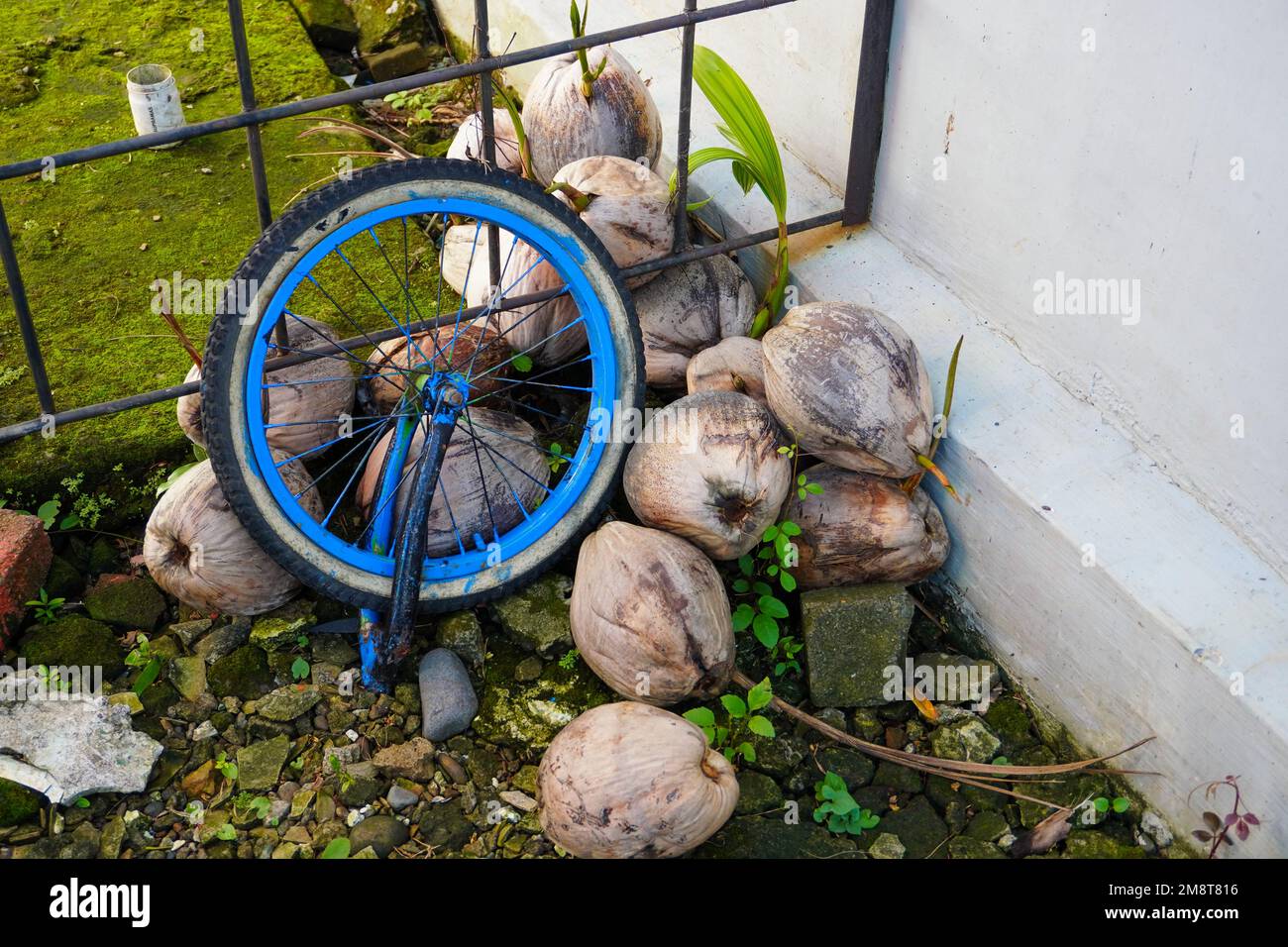 Pile of discarded bicycle tires in a junkyard Stock Photo - Alamy