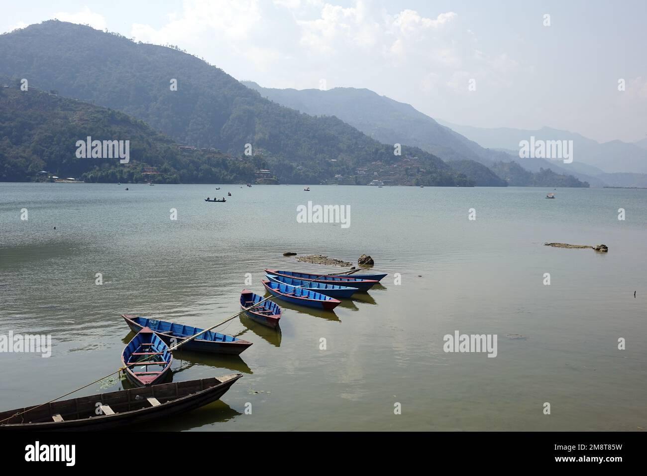 colorful boats, Phewa Lake, Phewa Tal or Fewa Lake, Pokhara, Gandaki ...